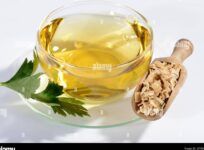 Para qué sirve el té de apio: beneficios y usos del té para la salud