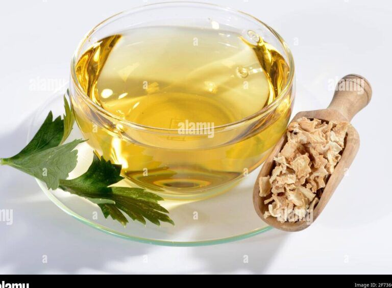 Para qué sirve el té de apio: beneficios y usos del té para la salud